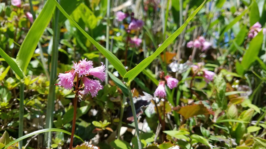 %e5%86%99%e7%9c%9f9%ef%bc%9a%e3%82%a4%e3%83%af%e3%82%ab%e3%82%ac%e3%83 ...