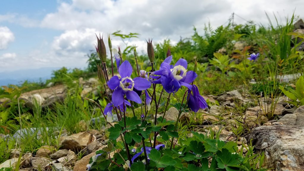 %e5%86%99%e7%9c%9f%ef%bc%95%ef%bc%9a%e3%82%bf%e3%82%ab%e3%83%8d%e3%82 ...