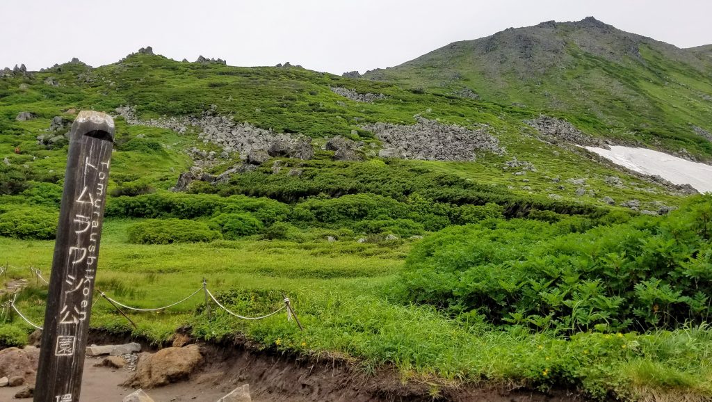 %e5%86%99%e7%9c%9f%ef%bc%99%ef%bc%9a%e3%83%88%e3%83%a0%e3%83%a9%e3%82 ...