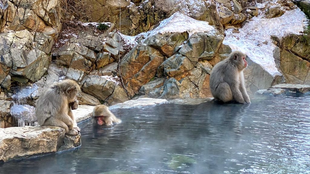 %e5%86%99%e7%9c%9f%ef%bc%94%ef%bc%9a%e5%9c%b0%e7%8d%84%e8%b0%b7%e9%87 ...