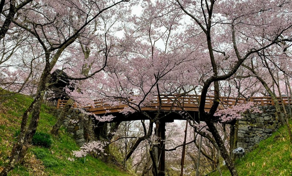 %e5%86%99%e7%9c%9f%ef%bc%99%ef%bc%9a%e9%ab%98%e9%81%a0%e5%9f%8e%e3%81 ...