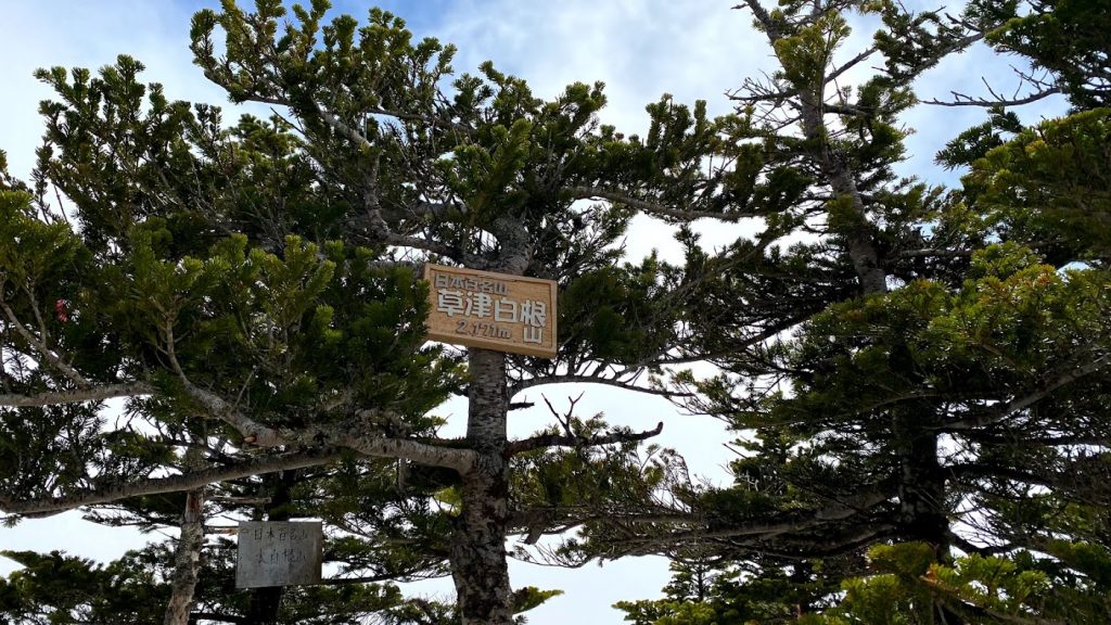 %e5%86%99%e7%9c%9f%ef%bc%95%ef%bc%9a%e8%8d%89%e6%b4%a5%e7%99%bd%e6%a0 ...